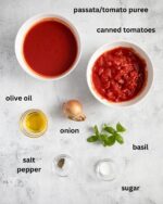 Italian Tomato Sugo Recipe » The Fast Recipe Food Blog
