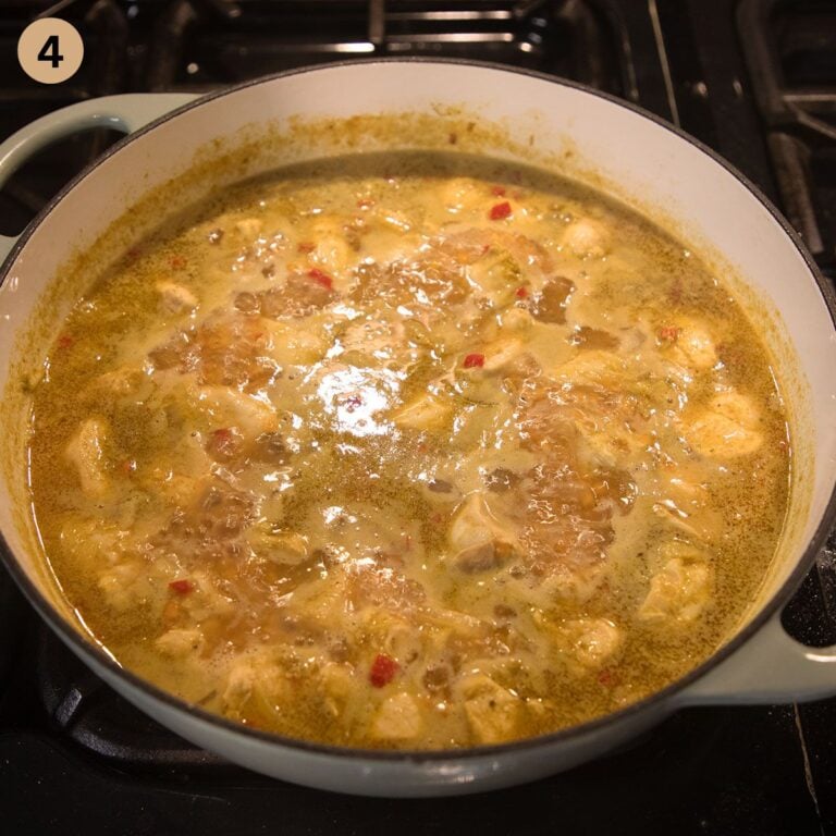 Easy One-Pot Chicken Lentil Curry » The Fast Recipe Food Blog
